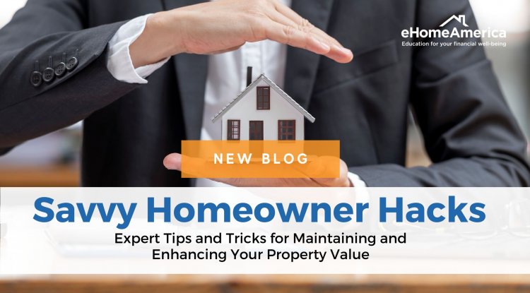 Savvy Homeowner Hacks: Expert Tips and Tricks for Maintaining and ...
